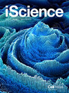 期刊影响因子2024/2025: iScience, ISCIENCE, ISSN:-, eISSN:2589-0042