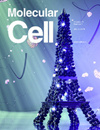 期刊影响因子2024/2025: Molecular Cell, MOL CELL, ISSN:1097-2765, eISSN:1097-4164