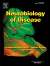 期刊影响因子2024/2025: NEUROBIOLOGY OF DISEASE, NEUROBIOL DIS, ISSN:0969-9961 ...