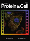 期刊影响因子2024/2025: Protein & Cell, PROTEIN CELL, ISSN:1674-800X, eISSN ...