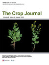 期刊影响因子2024/2025: Crop Journal, CROP J, ISSN:2095-5421, eISSN:2214-5141